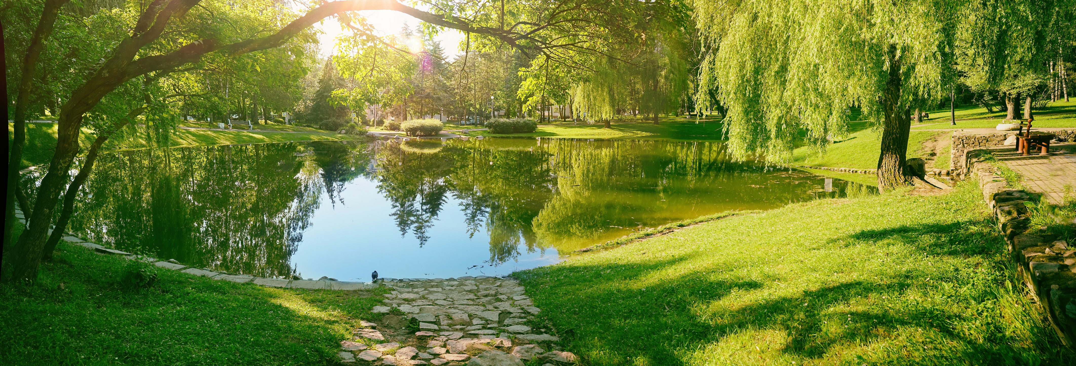 8 Ways to Maintain Your Pond Water Naturally: Why Good Bacteria and En ...
